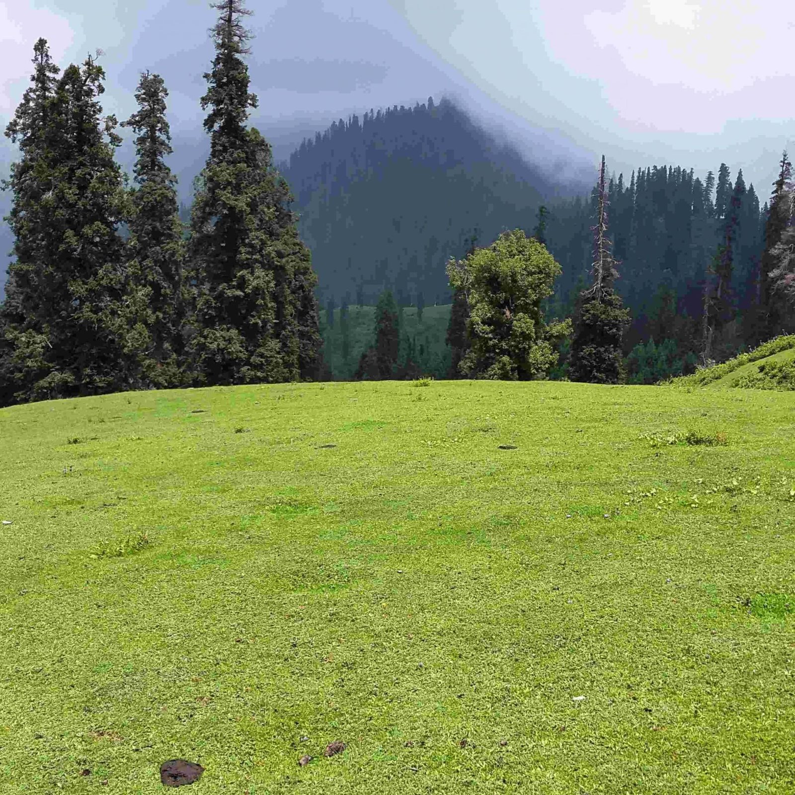 Travel Agency | Top 10 Things To Do In Gilgit Baltistan The Nouvelliste